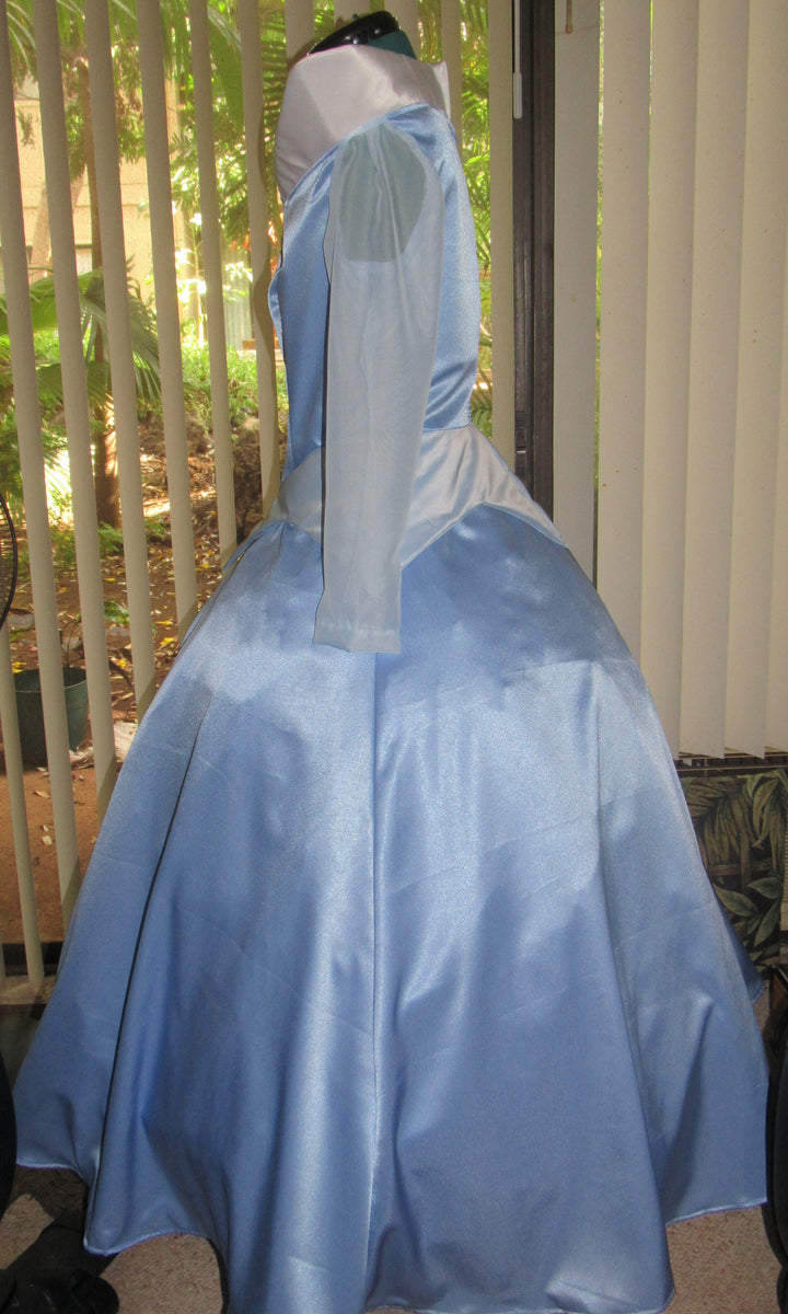 Costume Gown Dress for Teens Adults Classic Aurora Sleeping Beauty Pri ...
