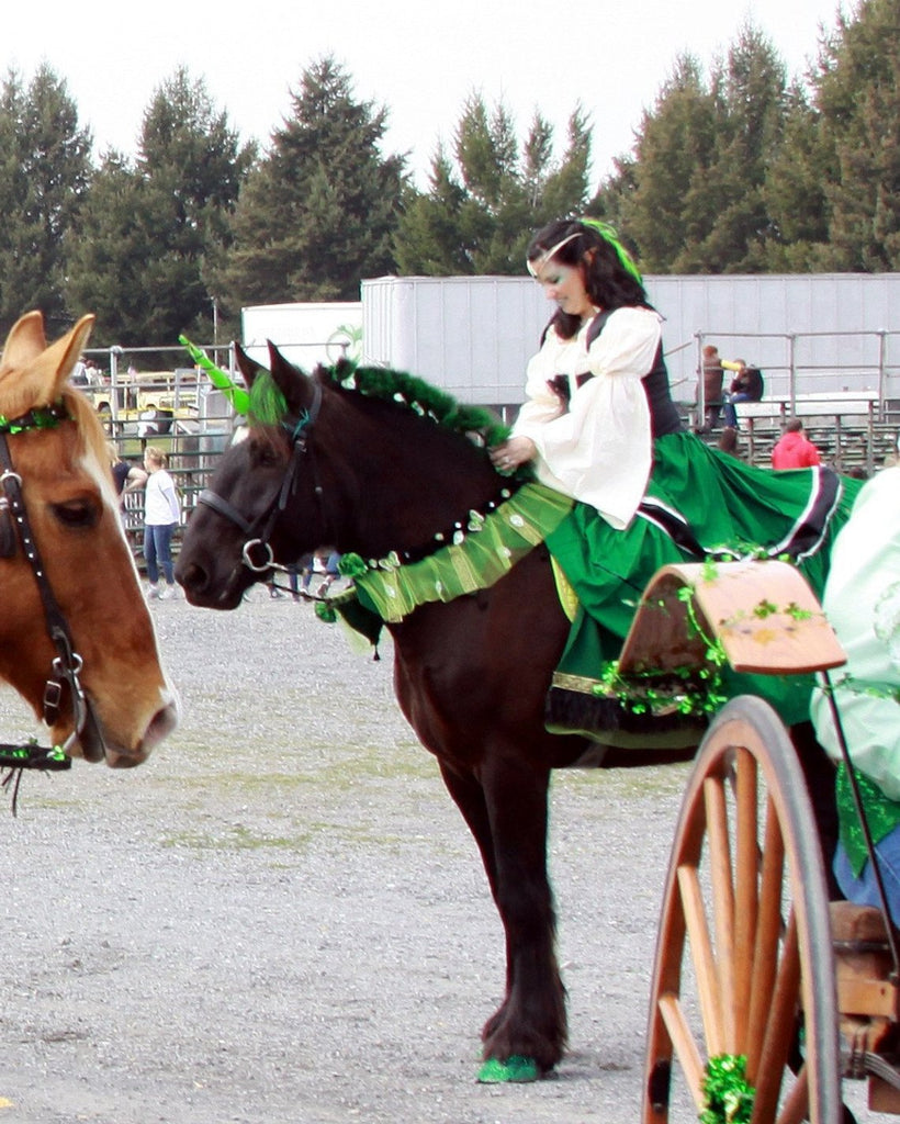 Renaissance Gypsy Dress Pirate Gown Wench Womens Costume – Cosplayrr